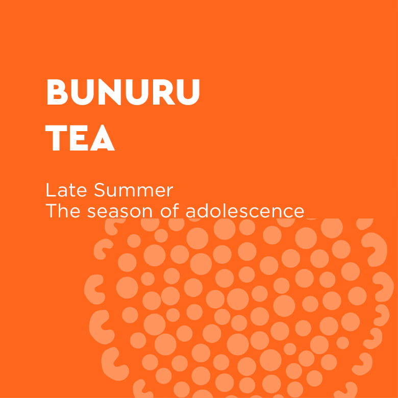 Buy Bunuru Tea Online Australia | Six Seasons – Six Seasons Australia